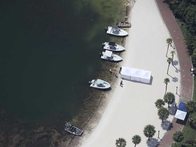 Report reveals details of Disney gator attack